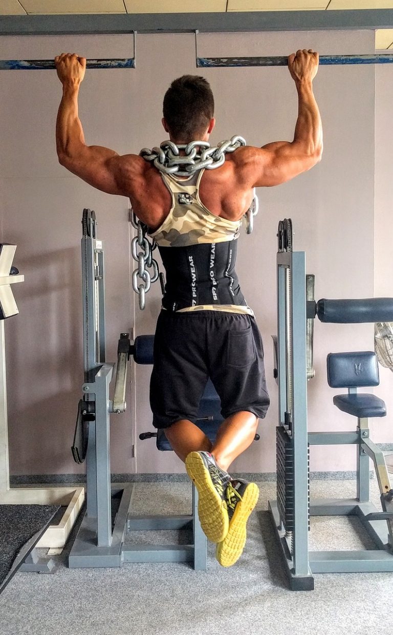 Muscolo trapezio: anatomia, funzione e allenamento - CrossMAG