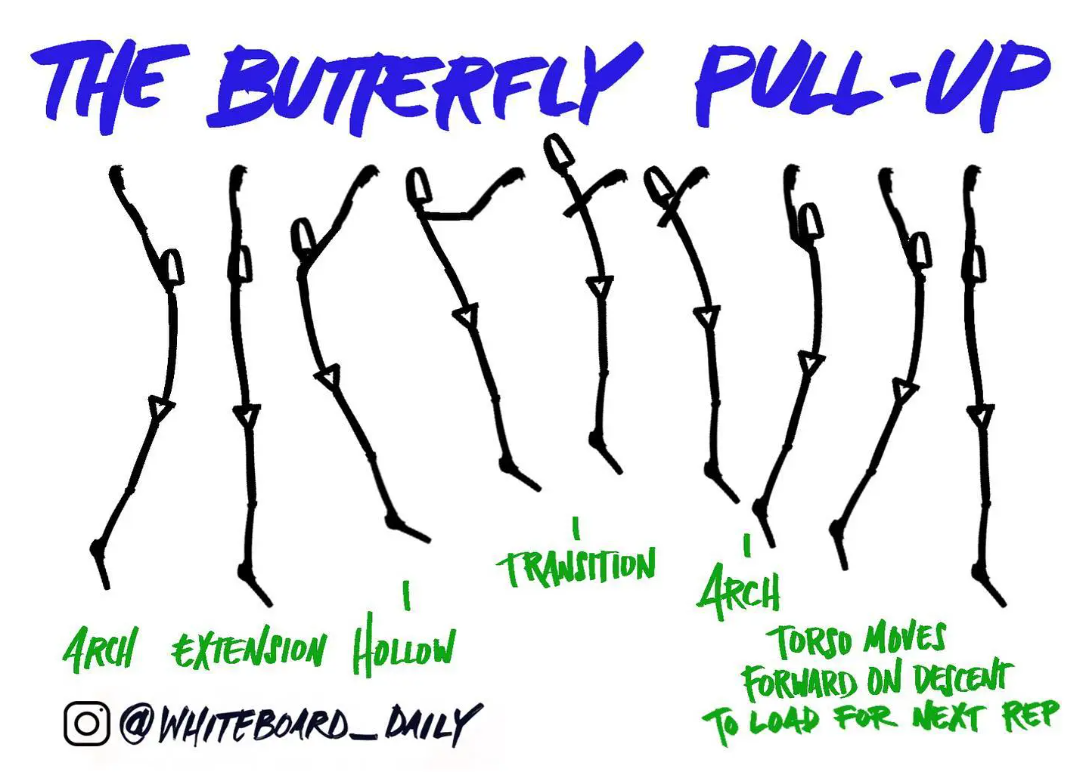 Consigli per migliorare butterfly pull-up - CrossMAG