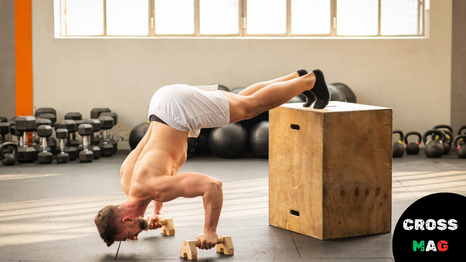 Pike Push-Up: guida completa per esecuzione, benefici e progressioni ...